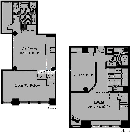 Printers Row Lofts | Chicago Condo Buildings | Dream Town Realty