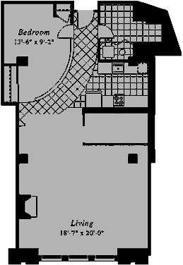 Printers Row Lofts | Chicago Condo Buildings | Dream Town Realty