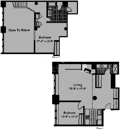 Printers Row Lofts | Chicago Condo Buildings | Dream Town Realty