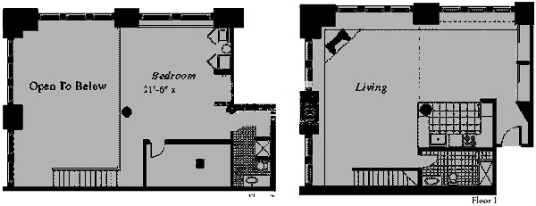 Printers Row Lofts | Chicago Condo Buildings | Dream Town Realty