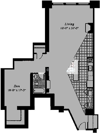 Printers Row Lofts | Chicago Condo Buildings | Dream Town Realty