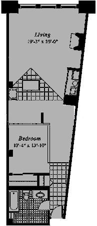 Printers Row Lofts | Chicago Condo Buildings | Dream Town Realty