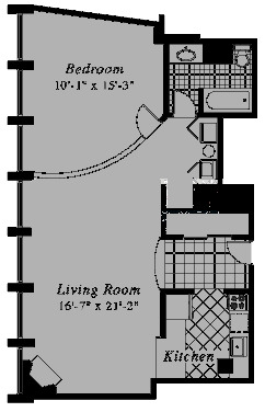 Printers Row Lofts | Chicago Condo Buildings | Dream Town Realty