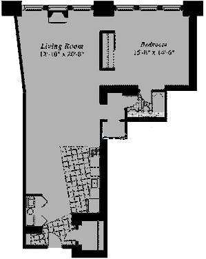 Printers Row Lofts | Chicago Condo Buildings | Dream Town Realty