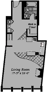 Printers Row Lofts | Chicago Condo Buildings | Dream Town Realty