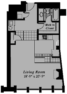 Printers Row Lofts | Chicago Condo Buildings | Dream Town Realty